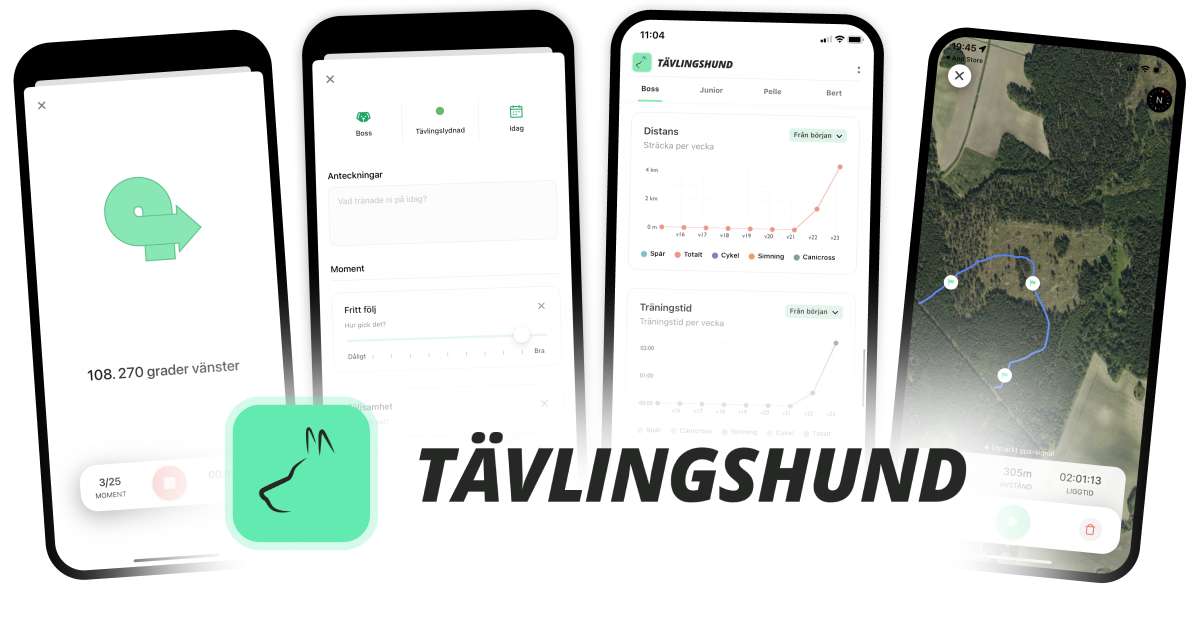 Rallylydnad — guide för dig som vill börja träna